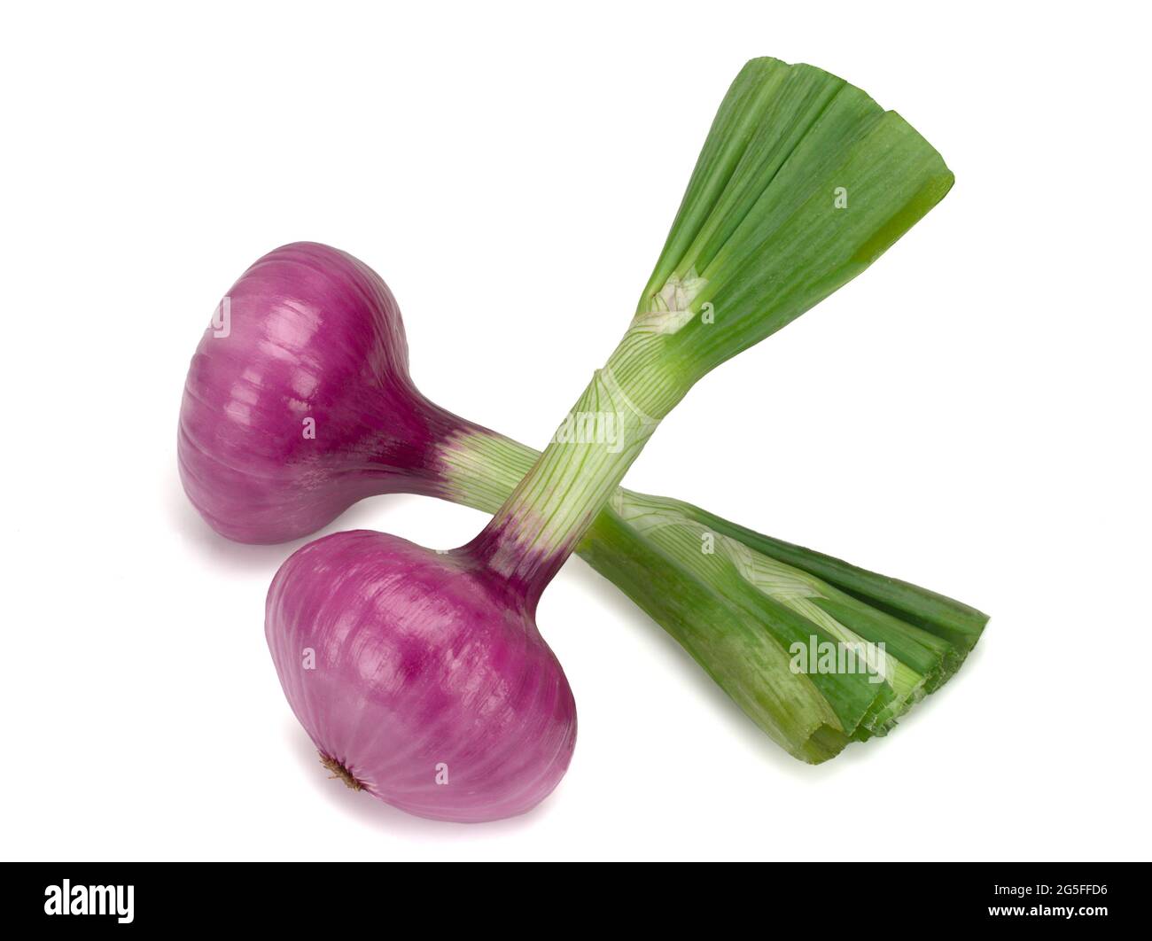 fresh red onion isolated on white background Stock Photo - Alamy