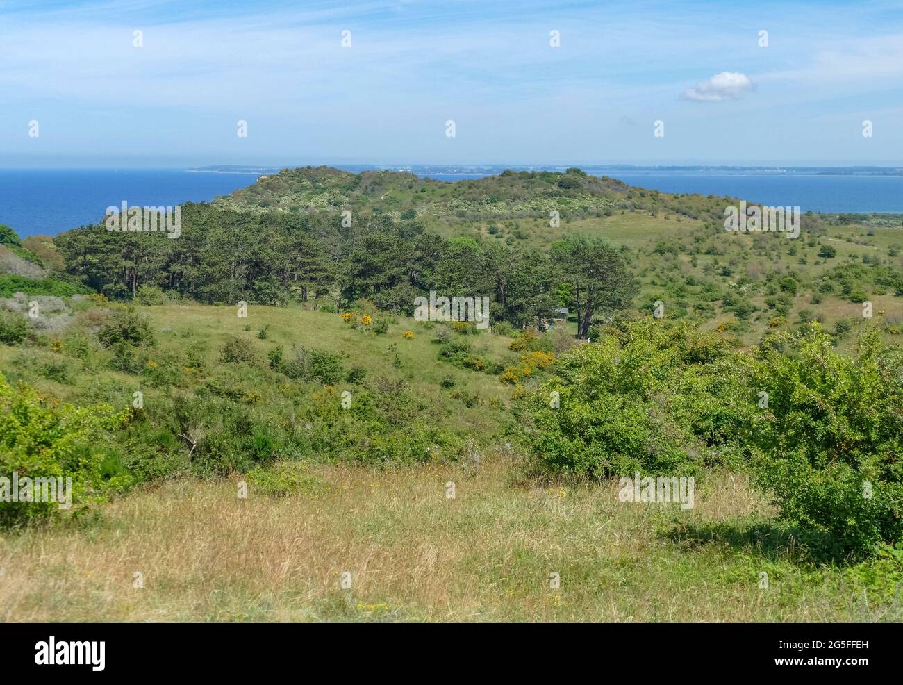 Scenery around Hiddensee, a island in the Baltic Sea Stock Photo - Alamy