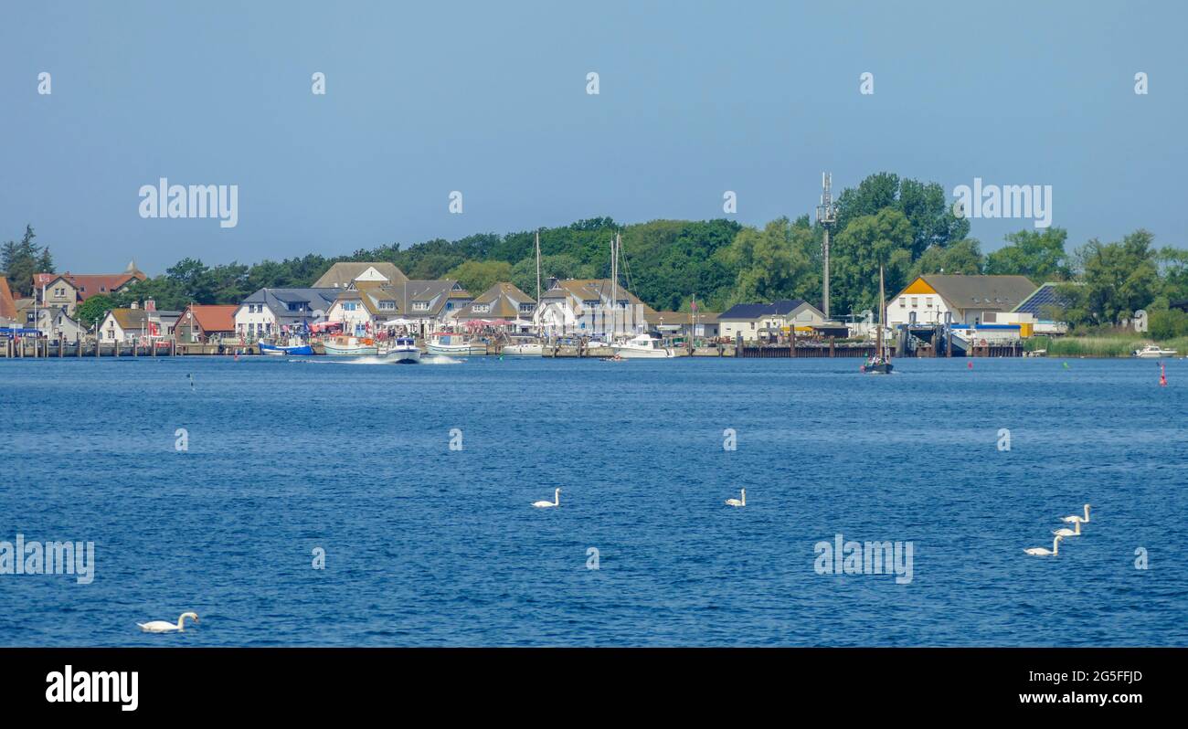 Hiddensee island hi-res stock photography and images - Alamy