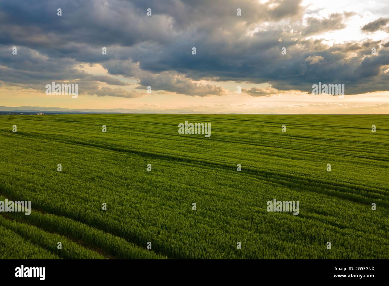 Aerial landscape view of green cultivated agricultural fields with ...