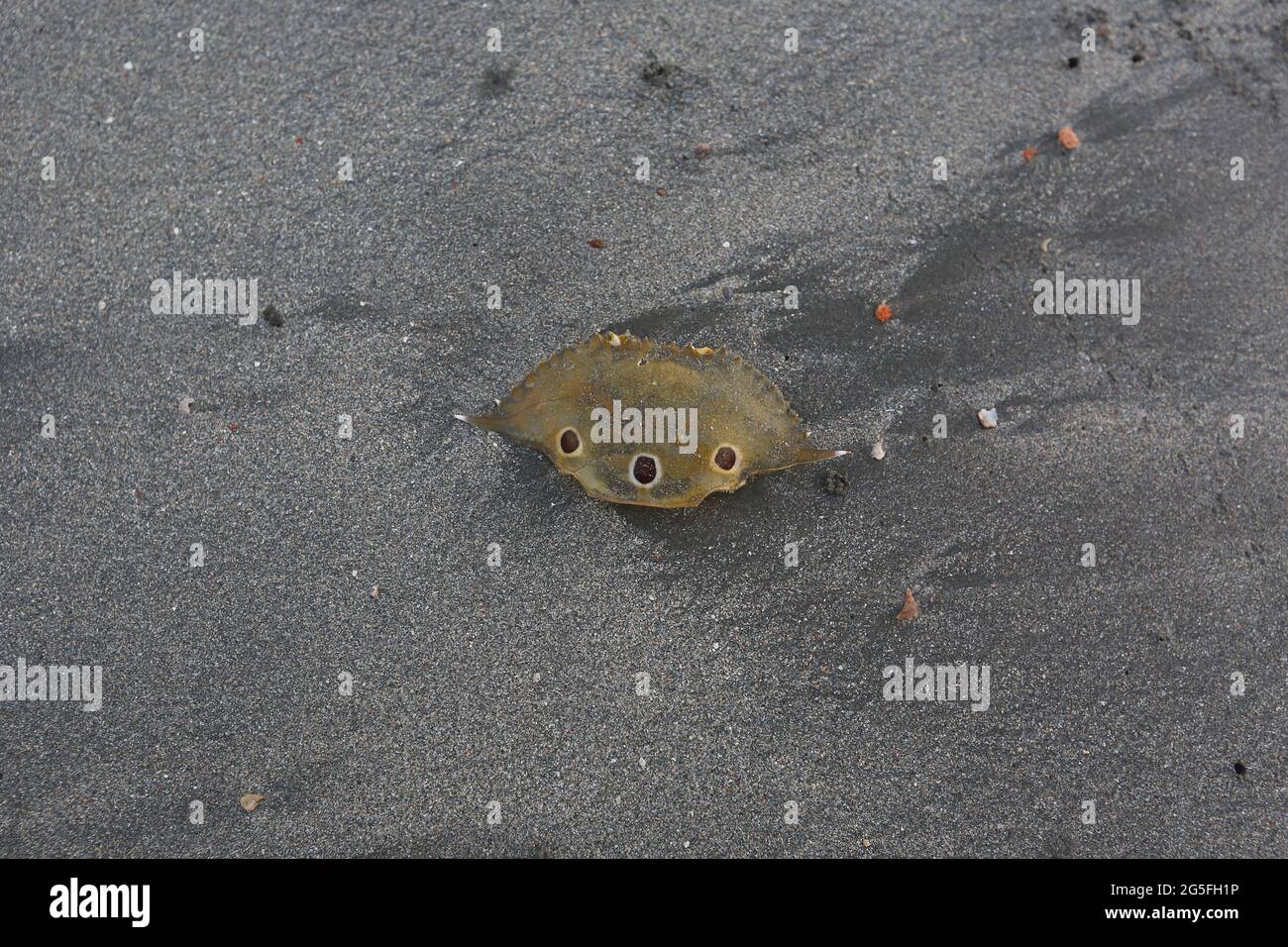 Sona sand hi-res stock photography and images - Alamy