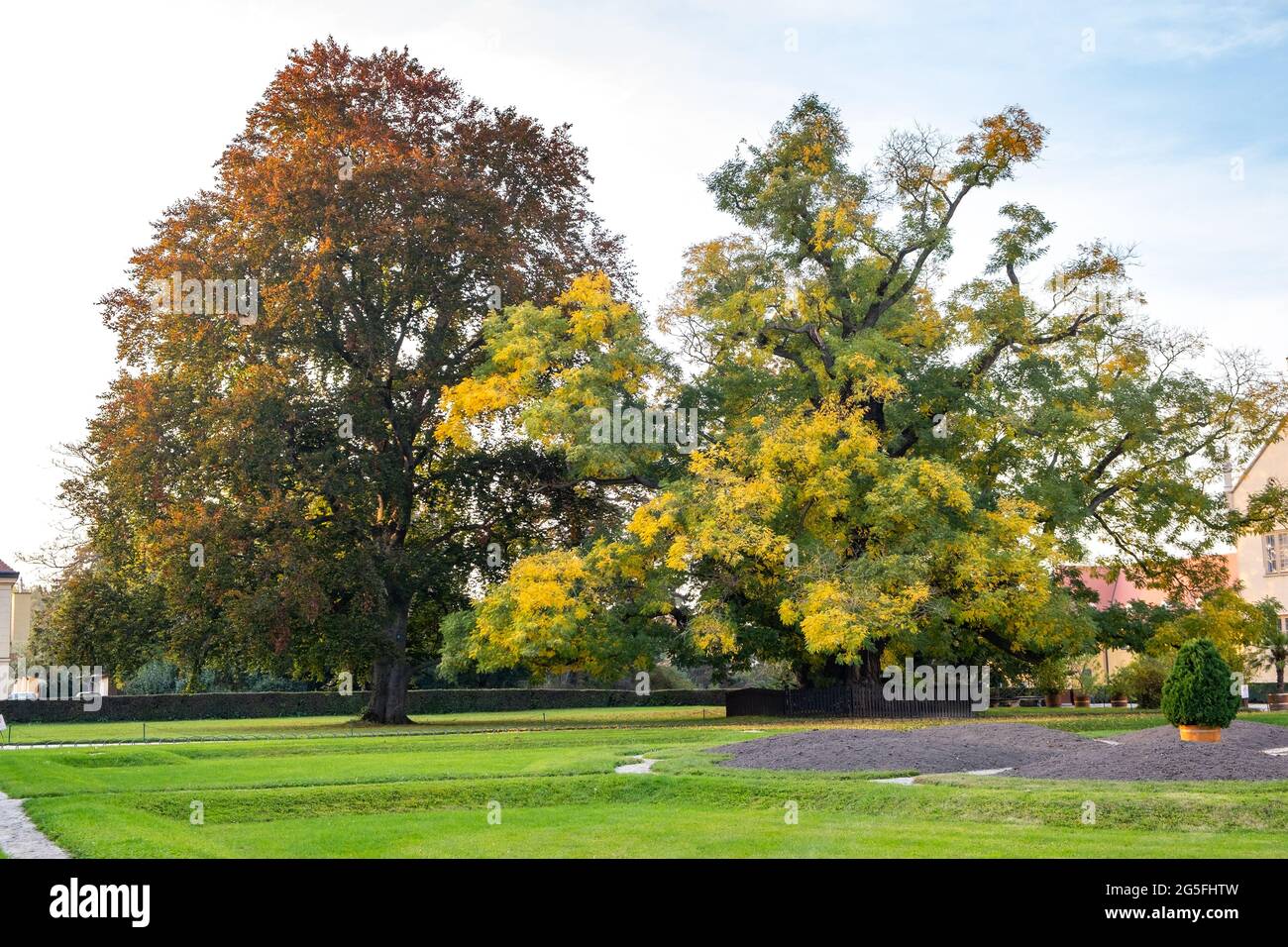Green and yellow trees in early autumn park Stock Photo - Alamy