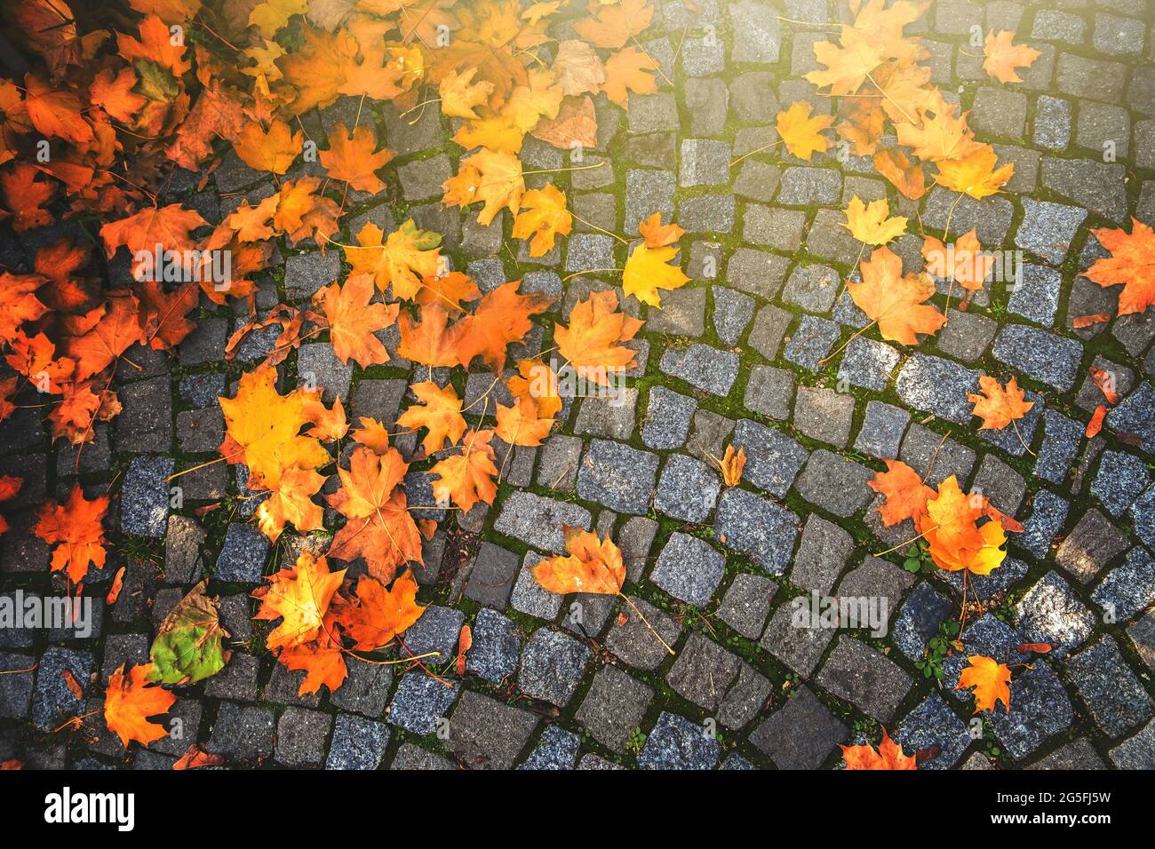 Top down cobblestone view hi-res stock photography and images - Alamy