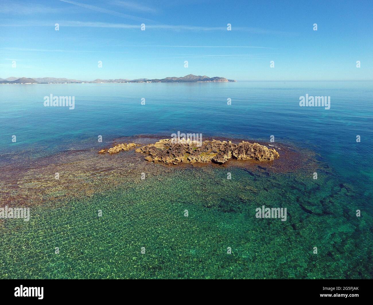 Peter Parros Clayton Parros