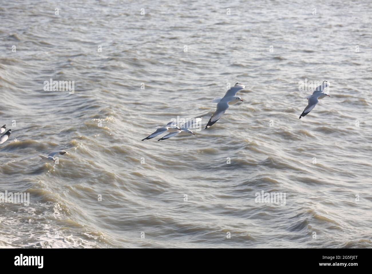 Anchored fishing boat in the sea beach of the Bay of Bengal. The ...