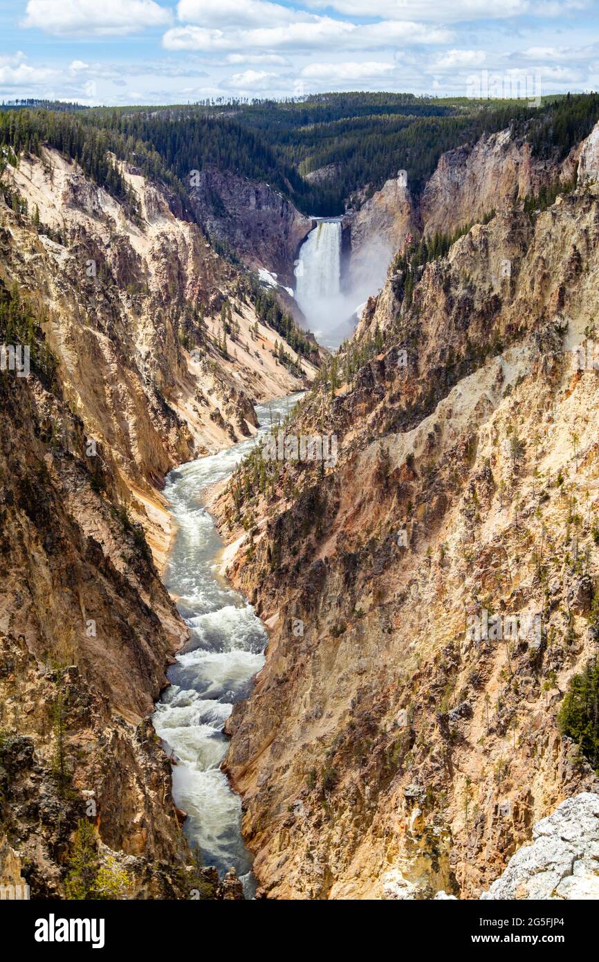 Yellowstone River Lower Falls at Yellowstone National Park from Artist ...