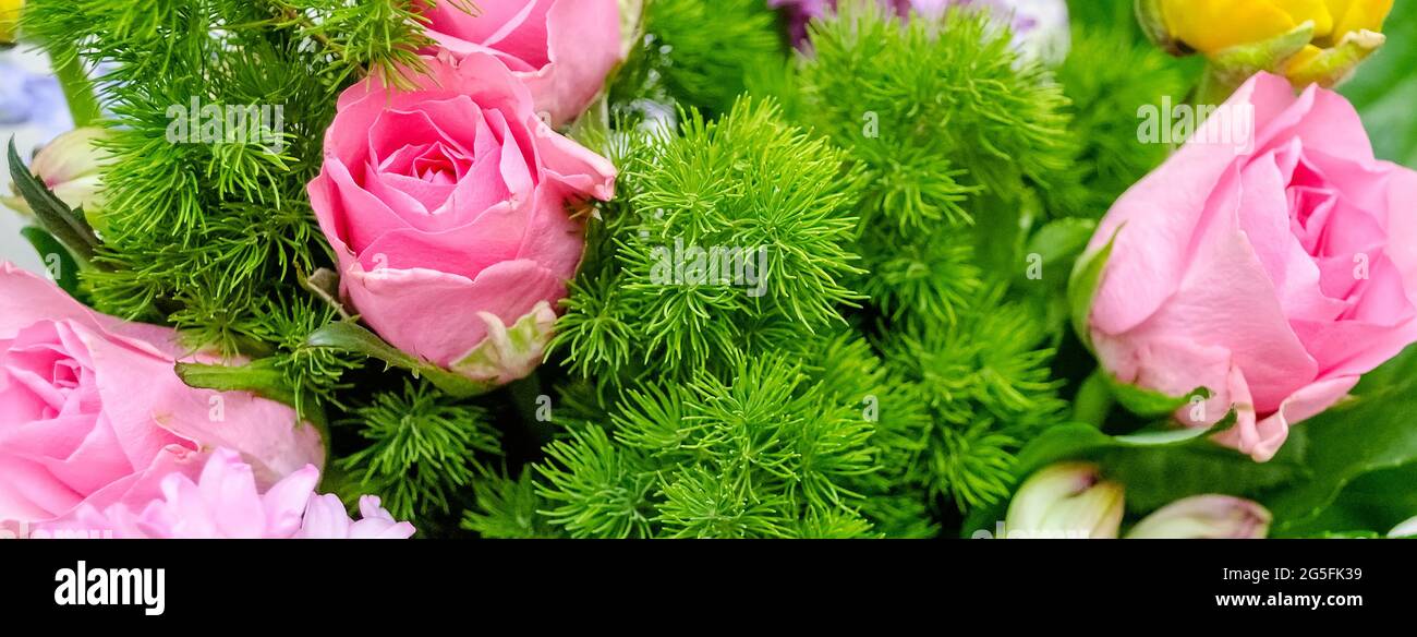 Colorful mix of flowers. May be used as background Stock Photo - Alamy