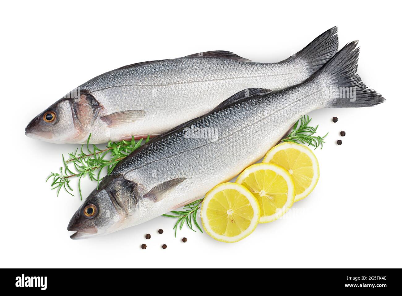 Sea bass fich isolated on white background with clipping path. Top view ...