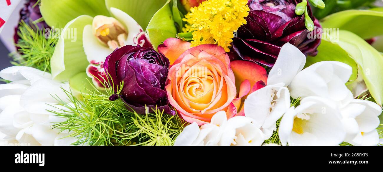 Colorful mix of flowers. May be used as background Stock Photo - Alamy