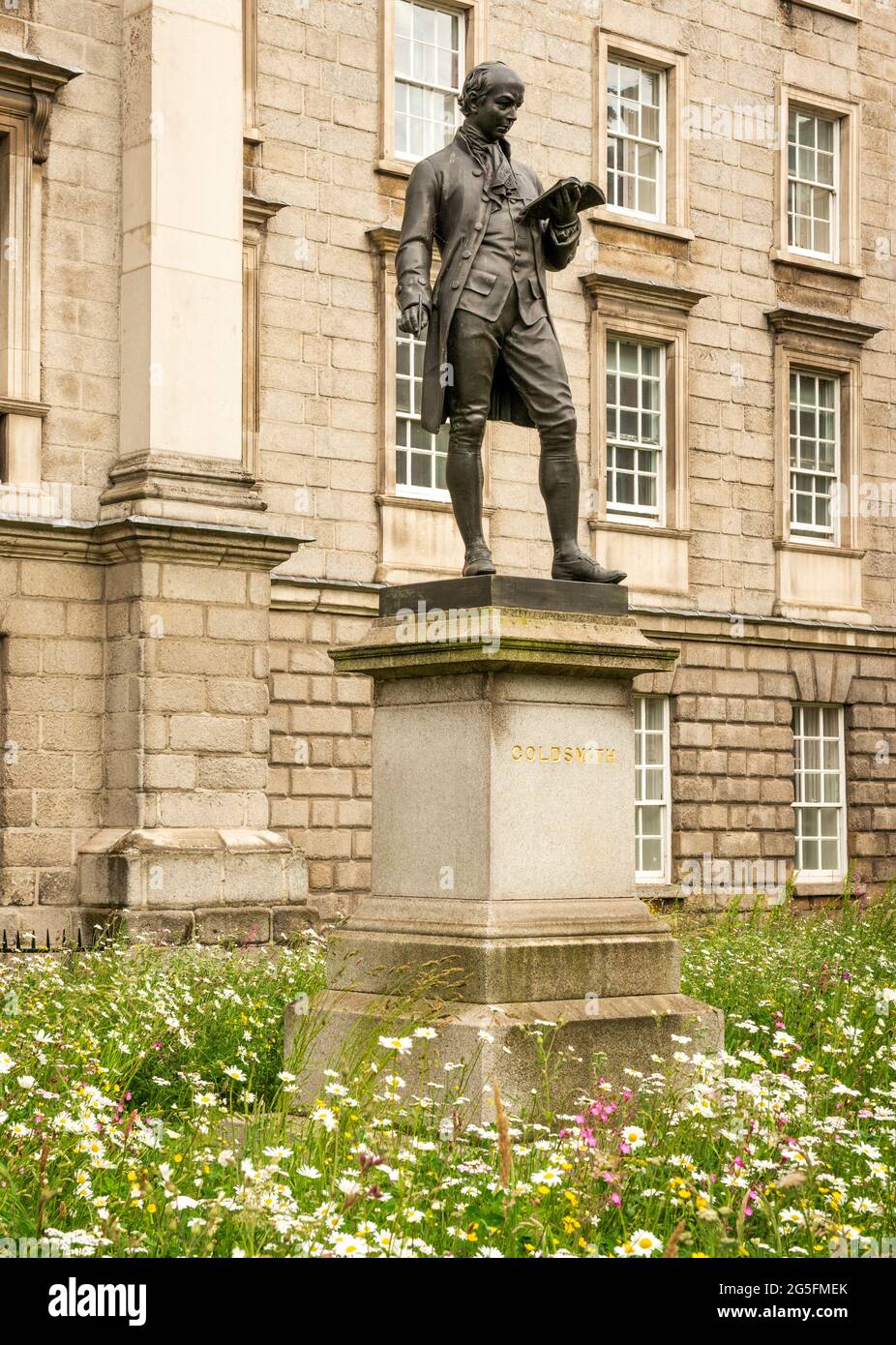 The Oliver Goldsmith statue and wildflower meadow at the College Green ...