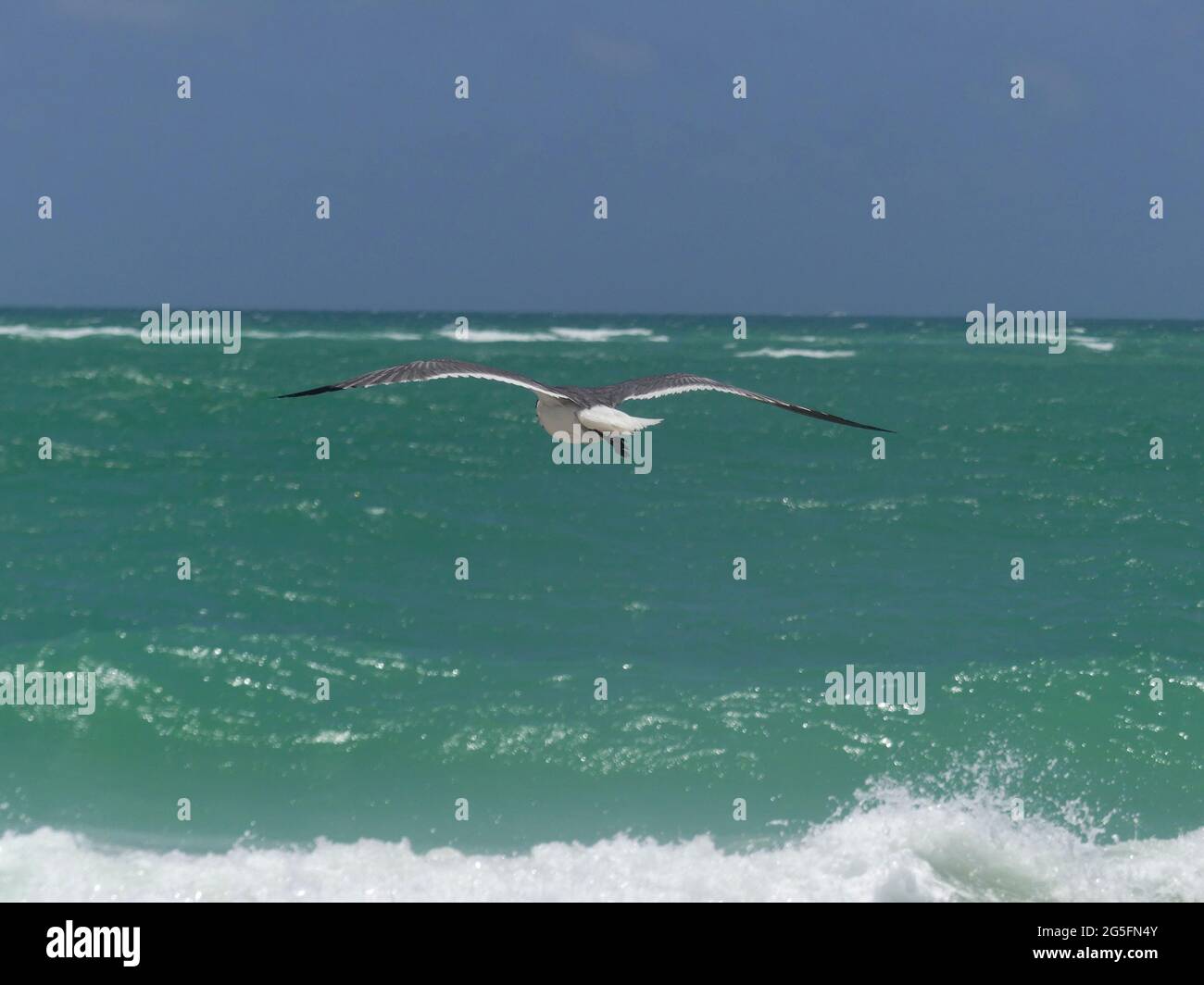 Beer can island longboat hi-res stock photography and images - Alamy