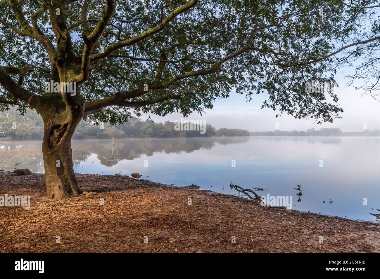 Jacui River High Resolution Stock Photography and Images - Alamy