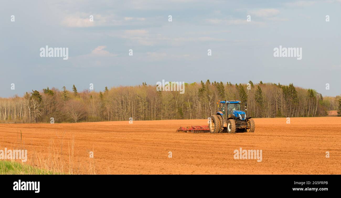 Prince Edward Island landscape. A tractor ploughing the farm fields at ...