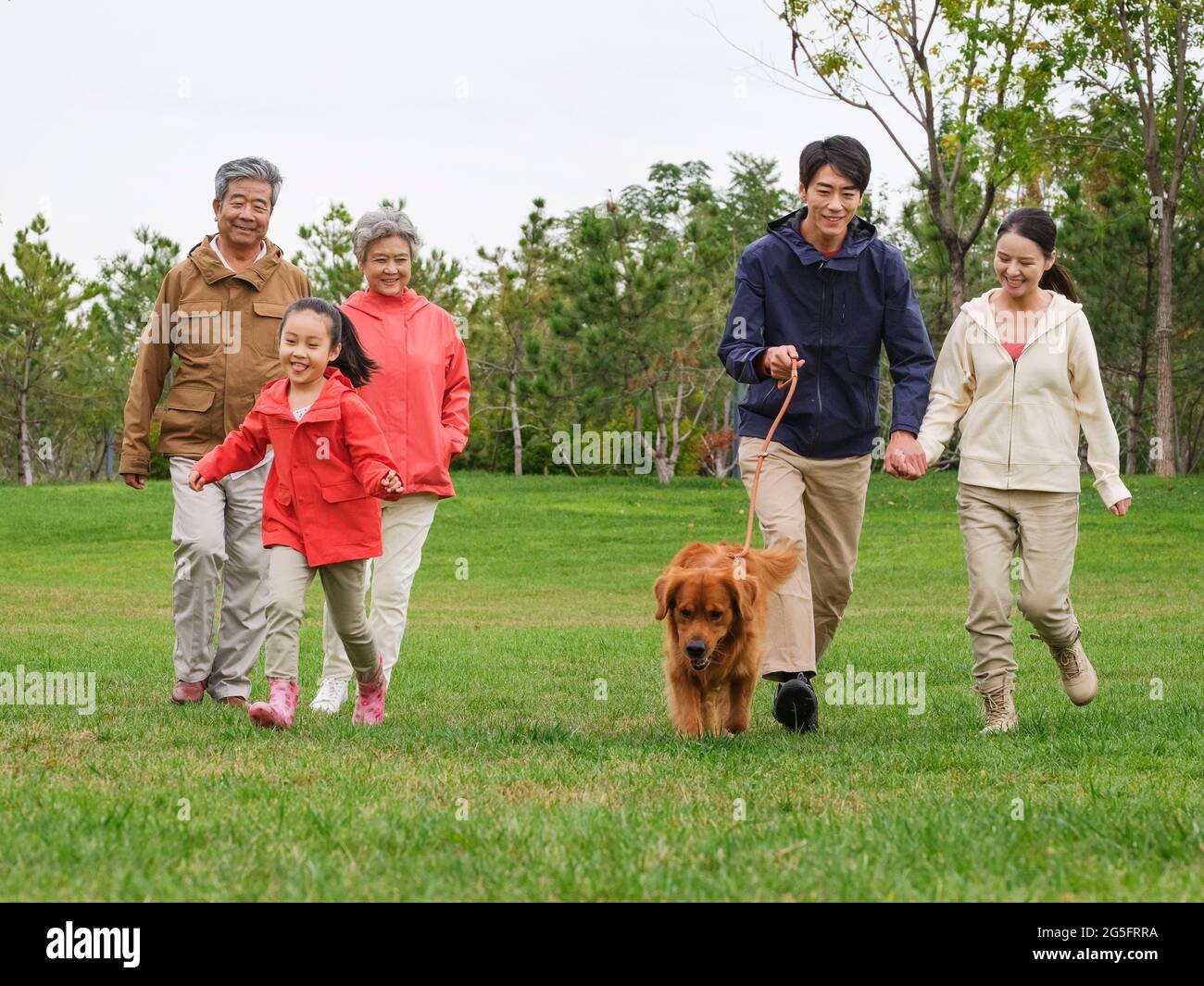 Man Walking Five Dogs High Resolution Stock Photography and Images - Alamy