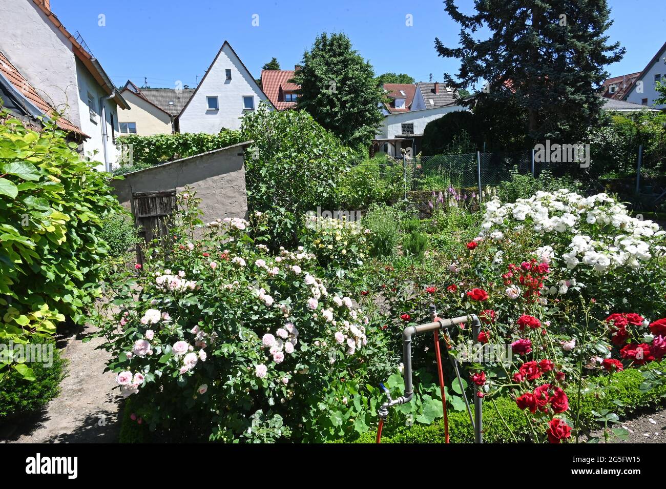 Rohrbach hi-res stock photography and images - Alamy