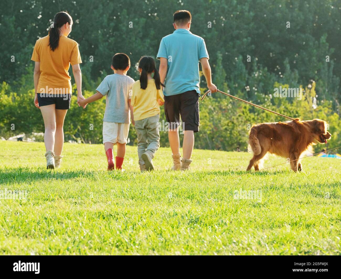 Happy family of four walking dogs in the park high quality photo Stock ...