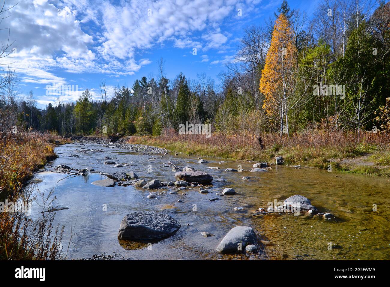 View of the riverbank in the National Park Stock Photo - Alamy