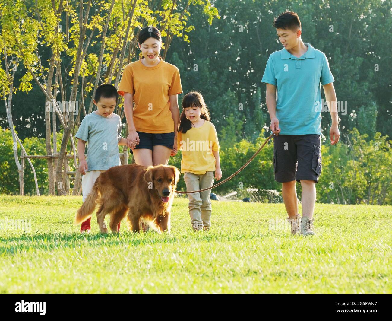 Happy family of four walking dogs in the park high quality photo Stock ...