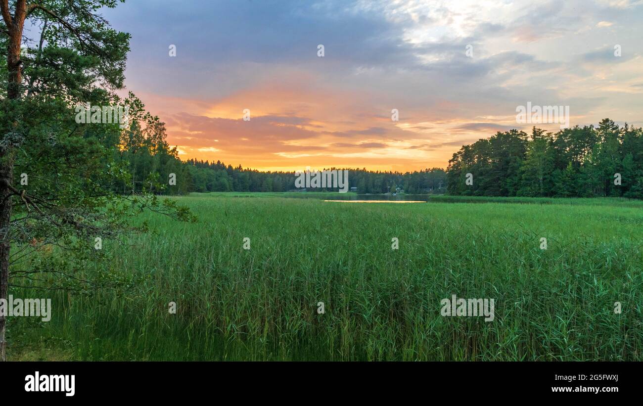 Midsummer mid summer hi-res stock photography and images - Alamy