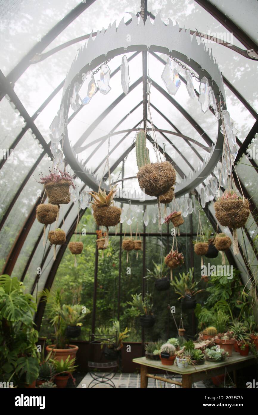 Inside a greenhouse hi-res stock photography and images - Alamy