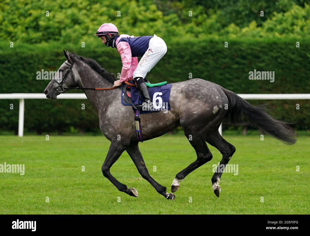 Serena's queen hi-res stock photography and images - Alamy