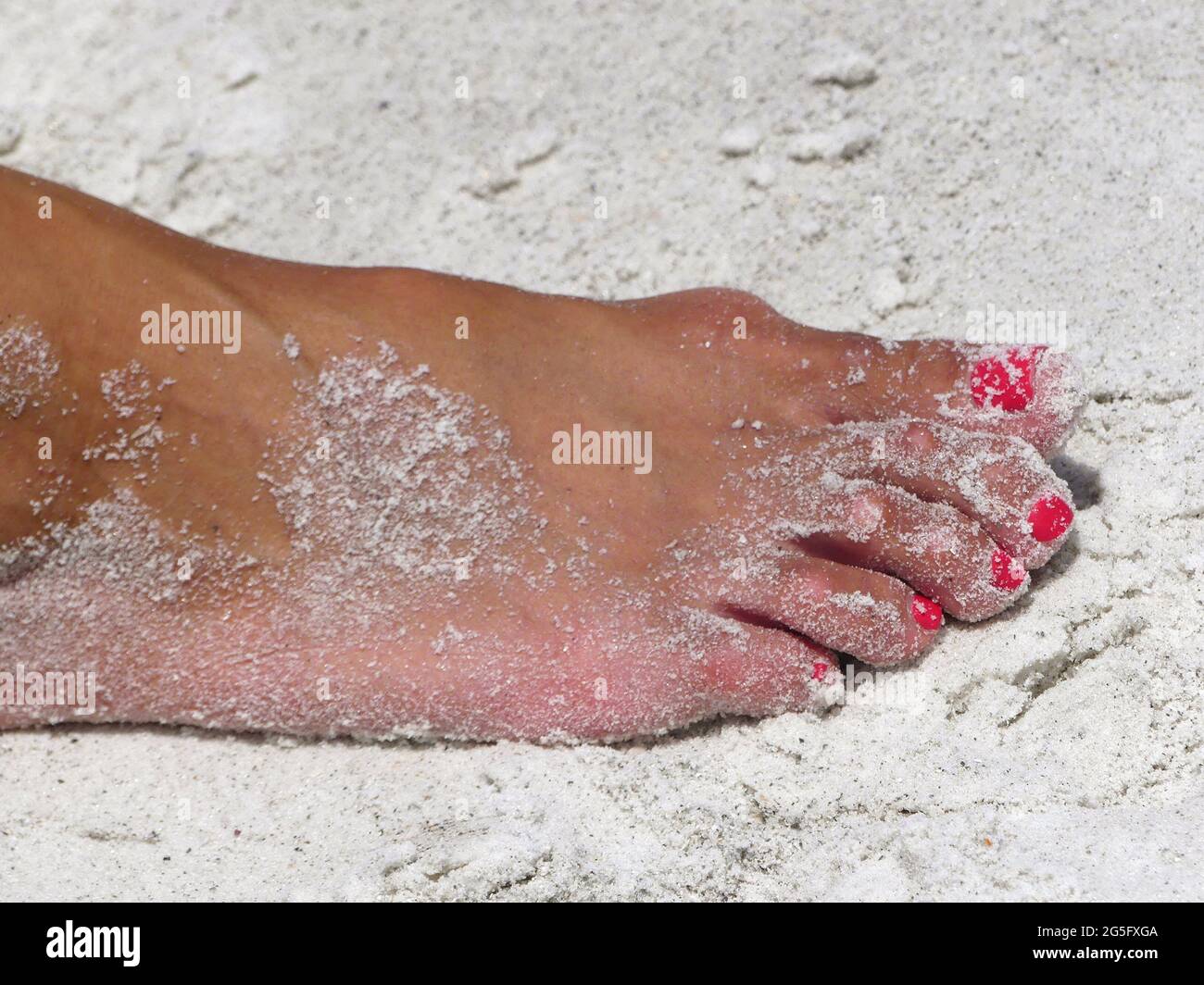 Beer can island longboat hi-res stock photography and images - Alamy