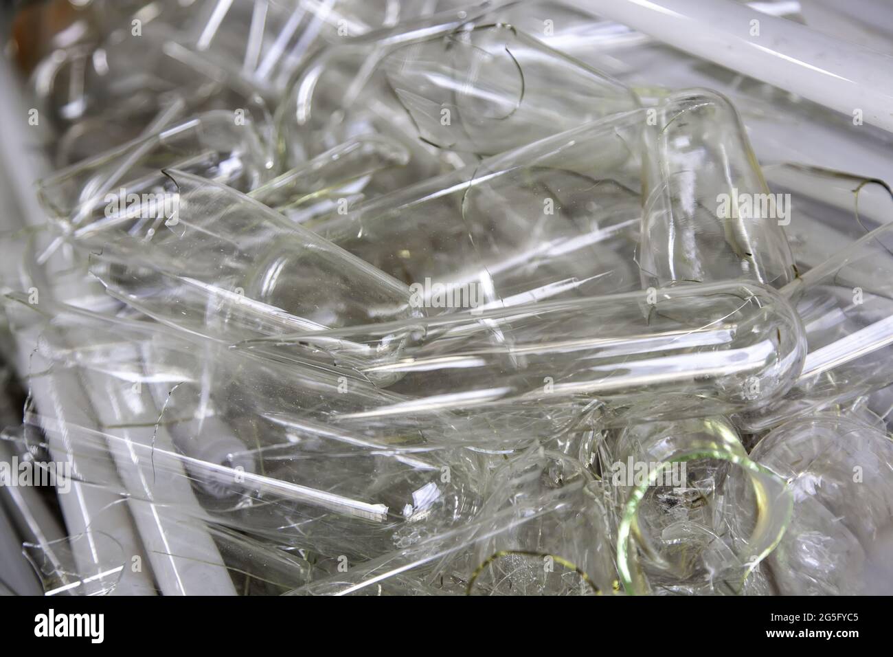 Container of light bulbs Light, recycling and environment Stock Photo ...