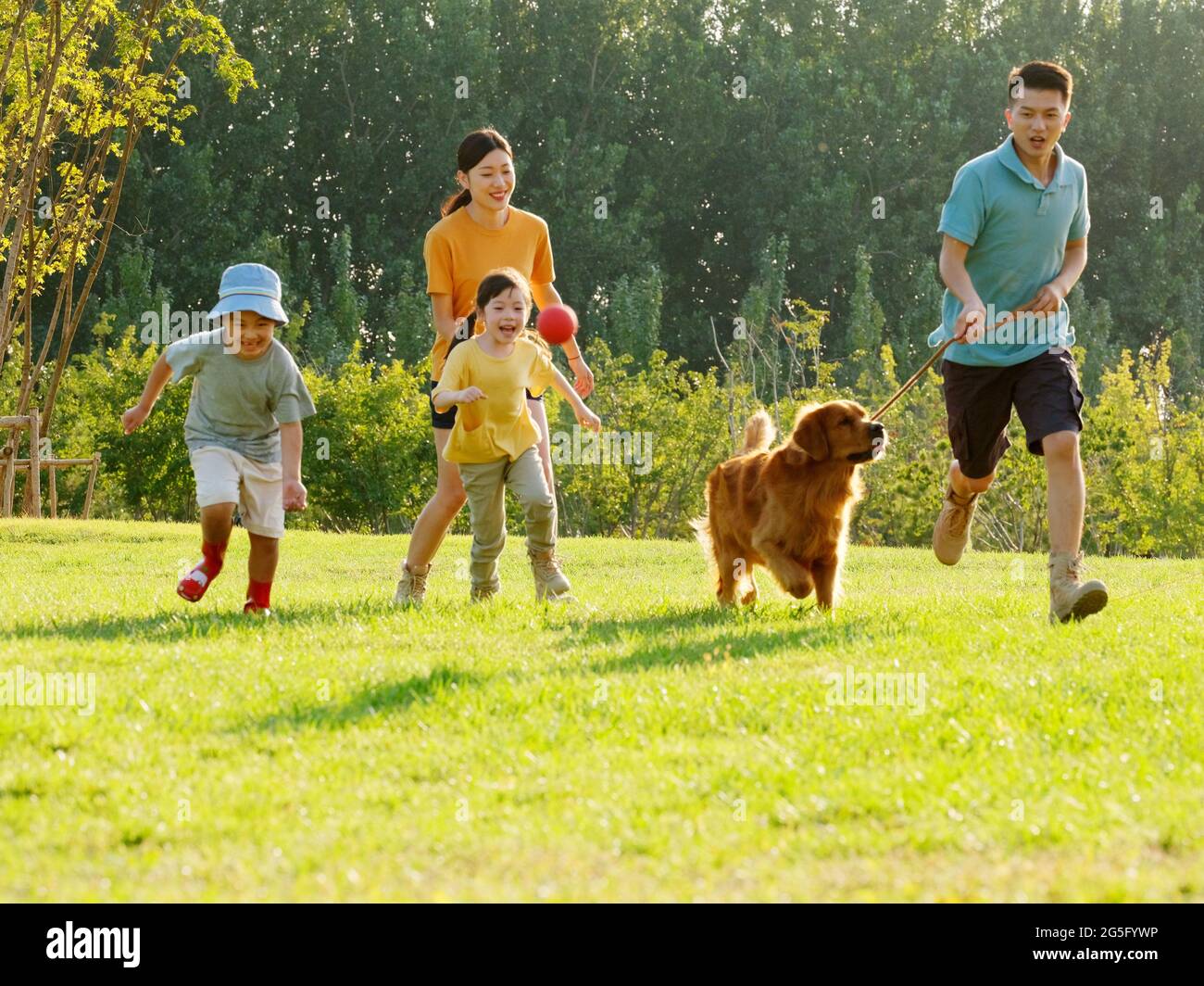 Happy family of four and pet dog playing in the park high quality photo ...