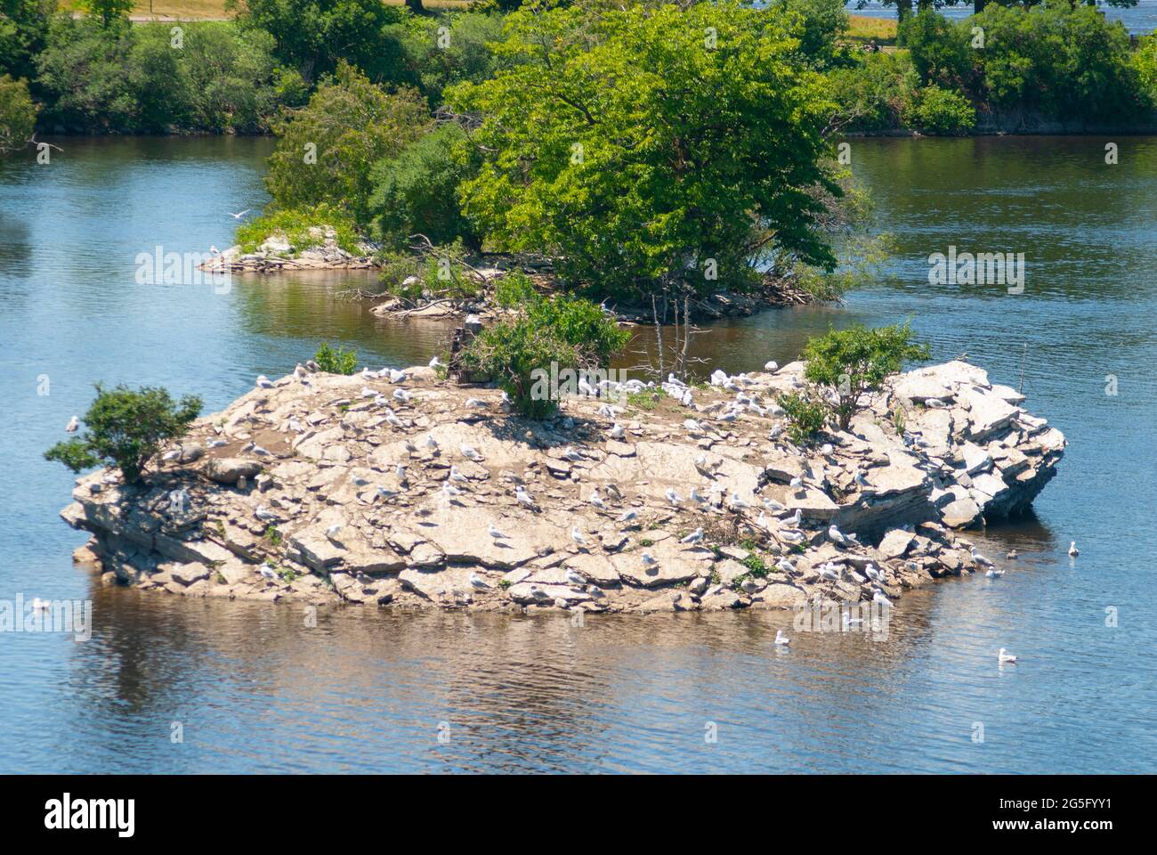 Lemieux island hi-res stock photography and images - Alamy