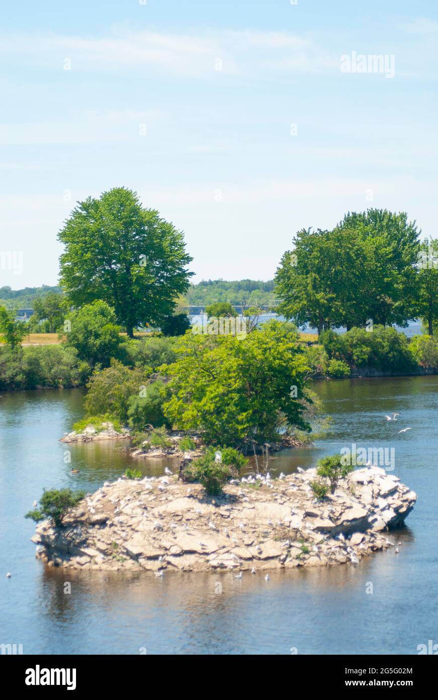 Lemieux island hi-res stock photography and images - Alamy