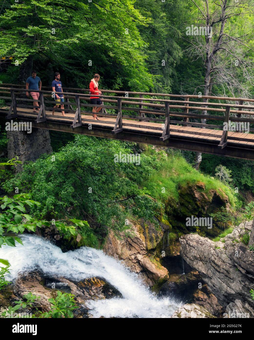 The Radovna river cutting through the Vintgar Gorge near Bled, Upper ...