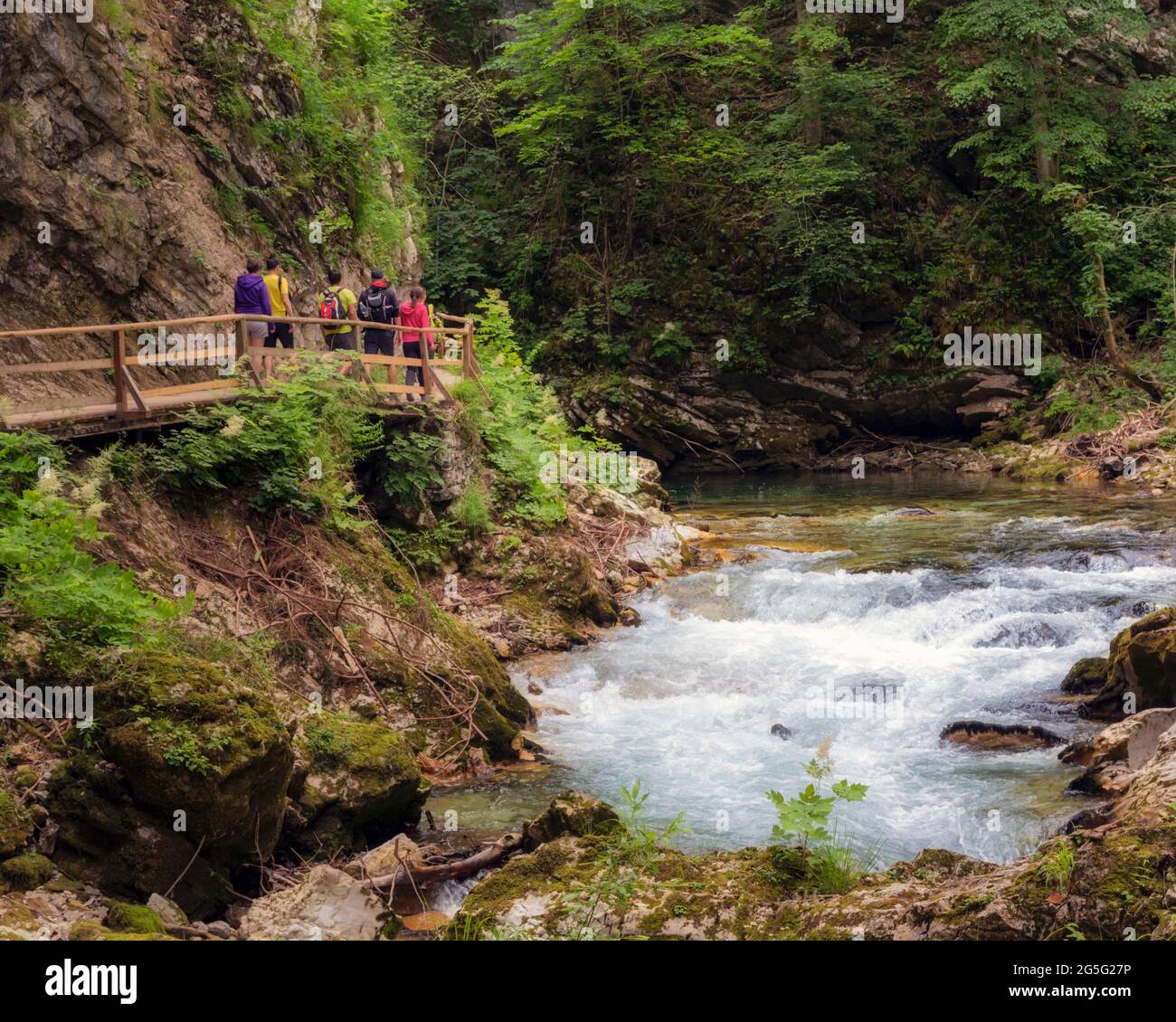 The Radovna river cutting through the Vintgar Gorge near Bled, Upper ...