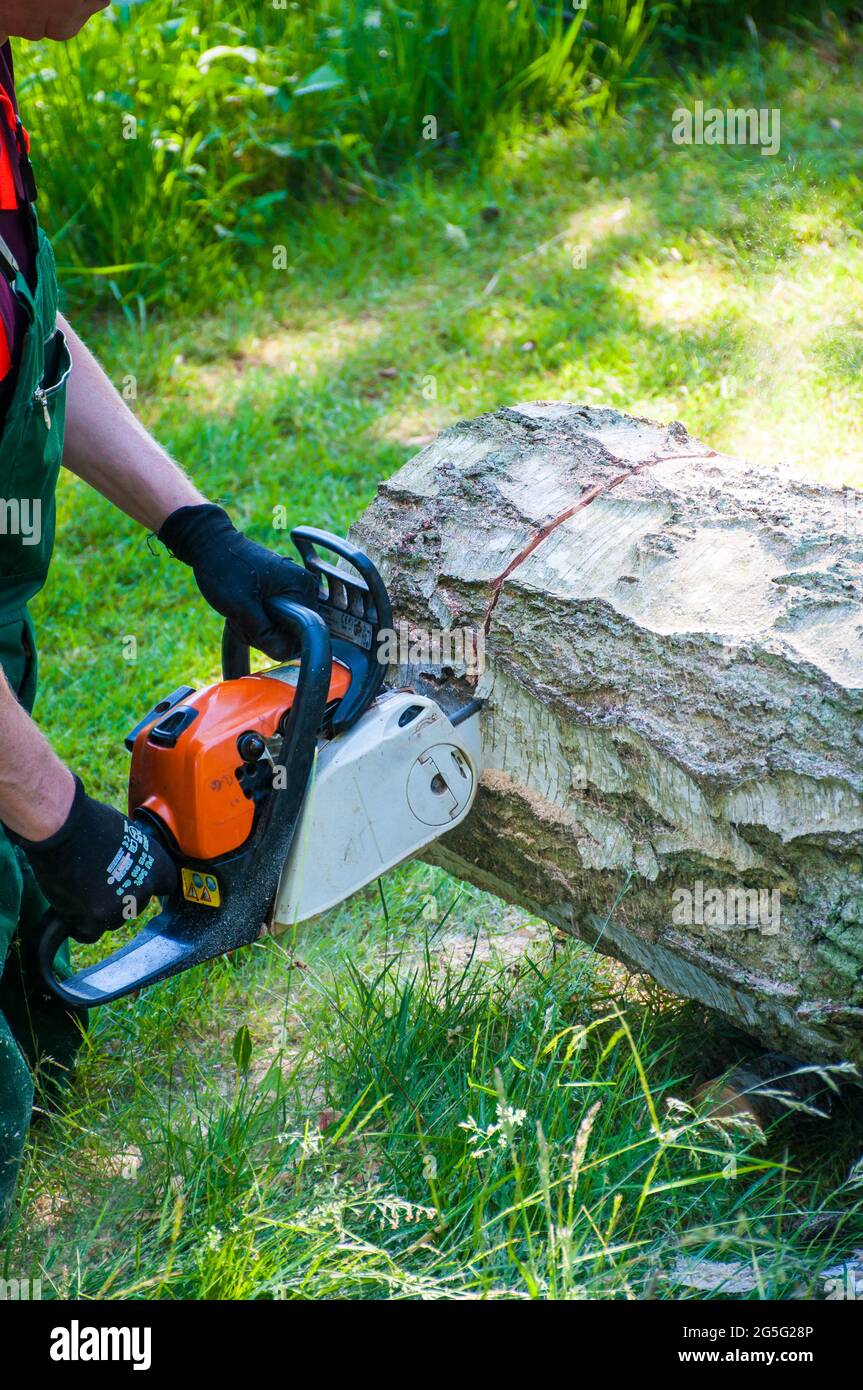 Chainsaw damage hi-res stock photography and images - Alamy