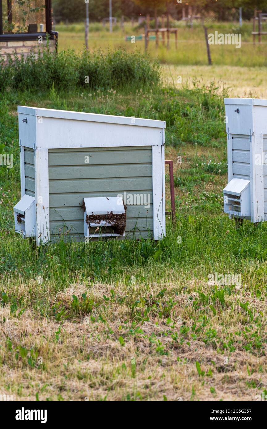 Bee hive hut hi-res stock photography and images - Alamy