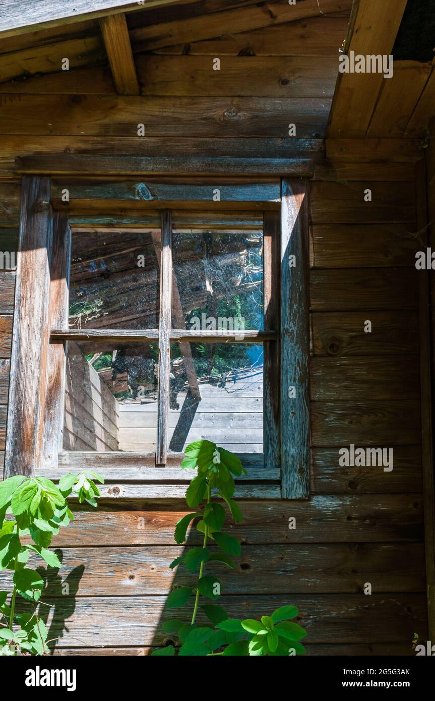 Lost place. View of the window of an old arbor that has already fallen ...