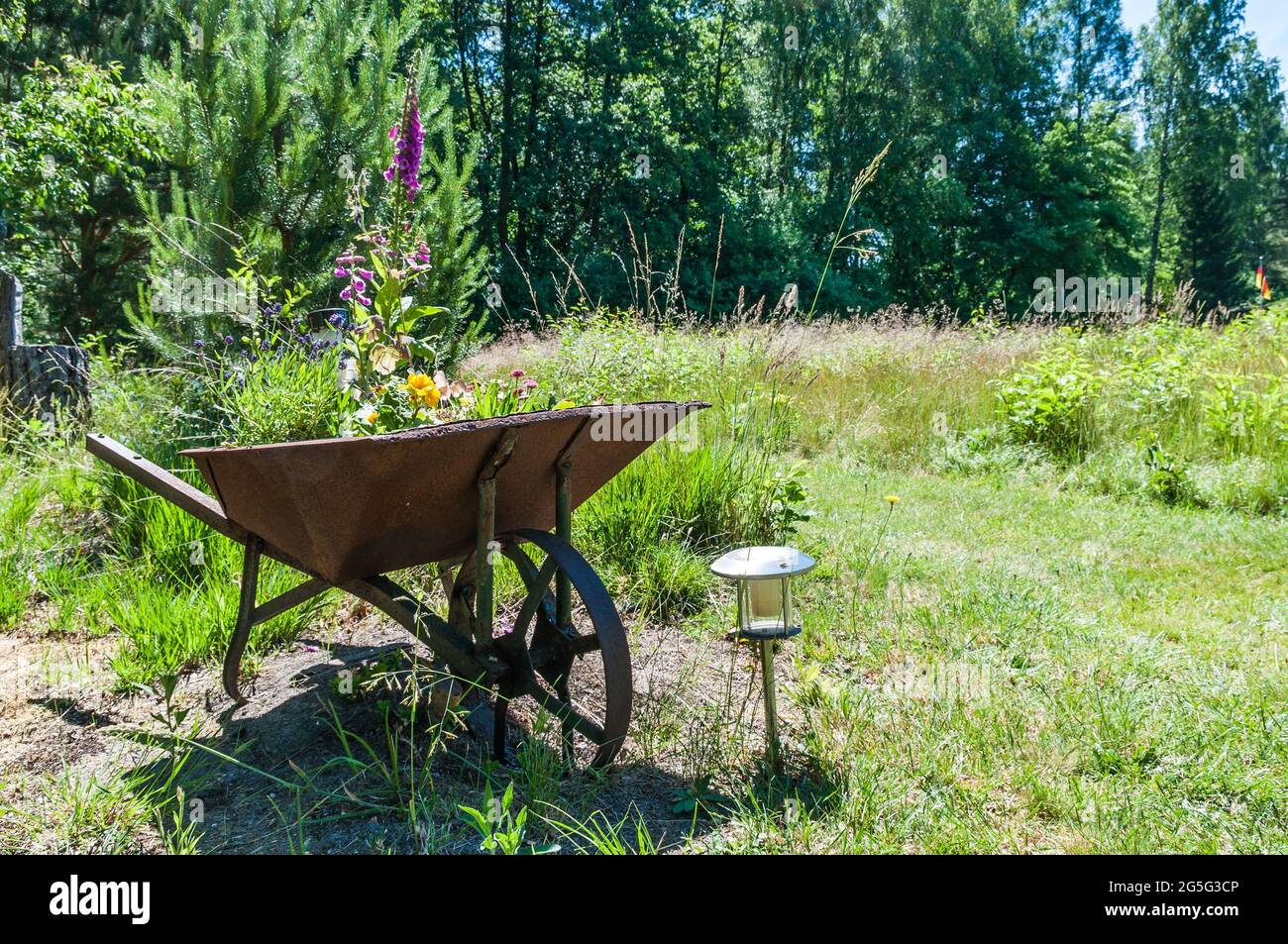 Old rusty wheelbarrow with metal wheel. converted into a flower bed ...