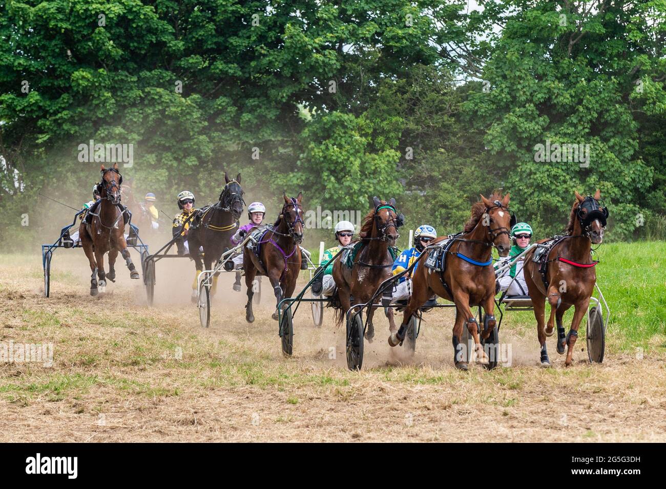 Sulky racing hi-res stock photography and images - Alamy