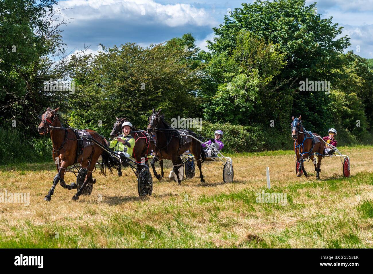 Horse racing horses hi-res stock photography and images - Alamy