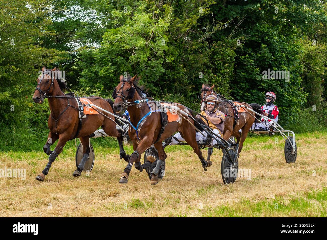 Alamy feature hi-res stock photography and images - Alamy