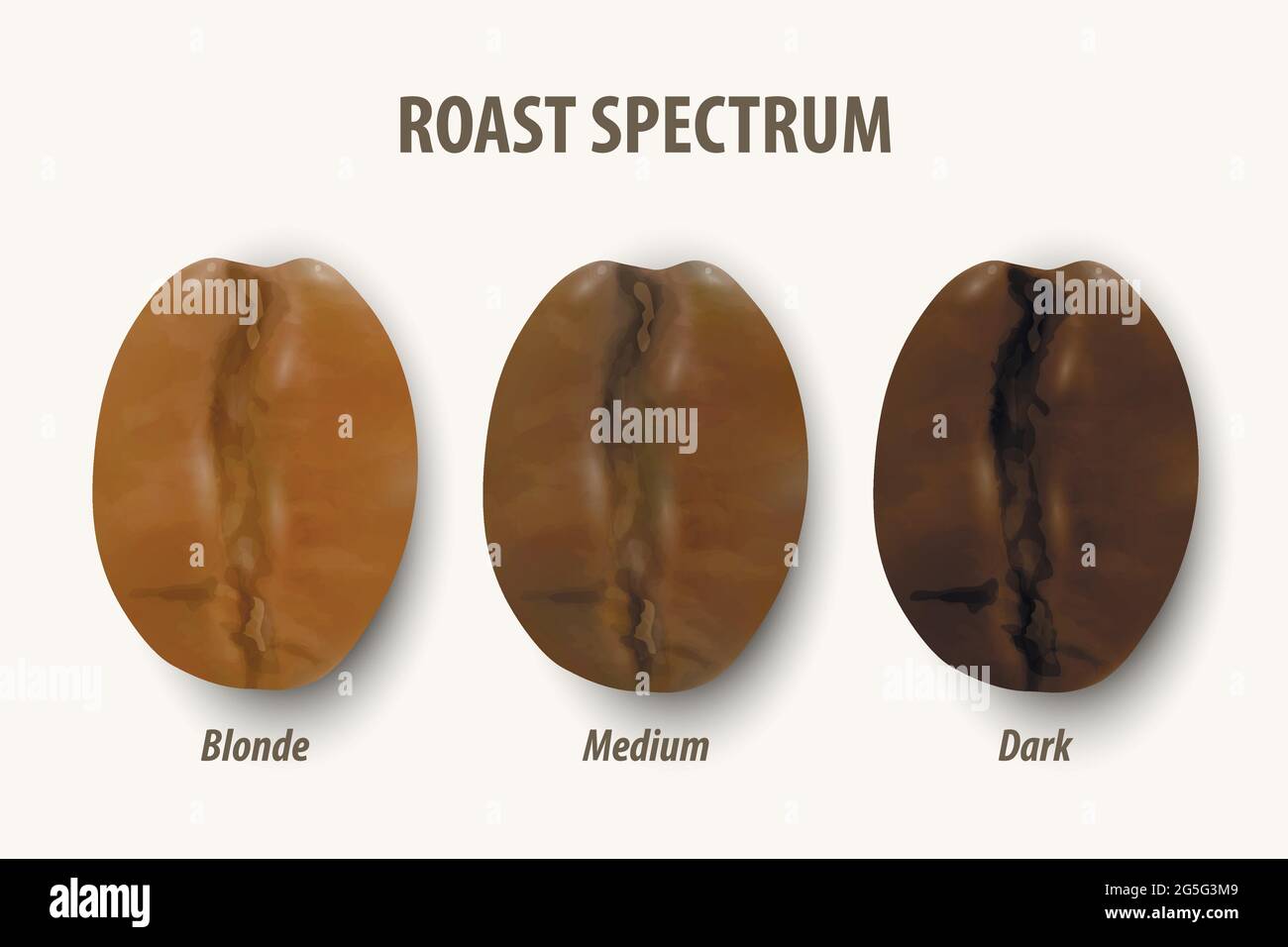 Three Stage Roasting Coffee. Vector 3d Realistic Coffee Beans. Textured ...