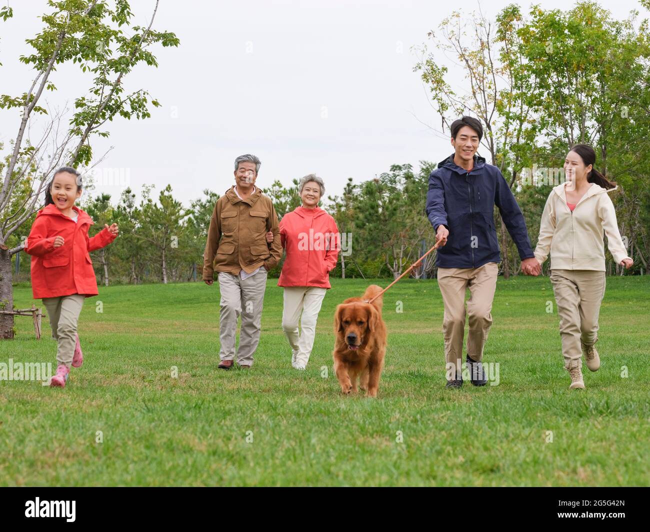 Man Walking Five Dogs High Resolution Stock Photography and Images - Alamy