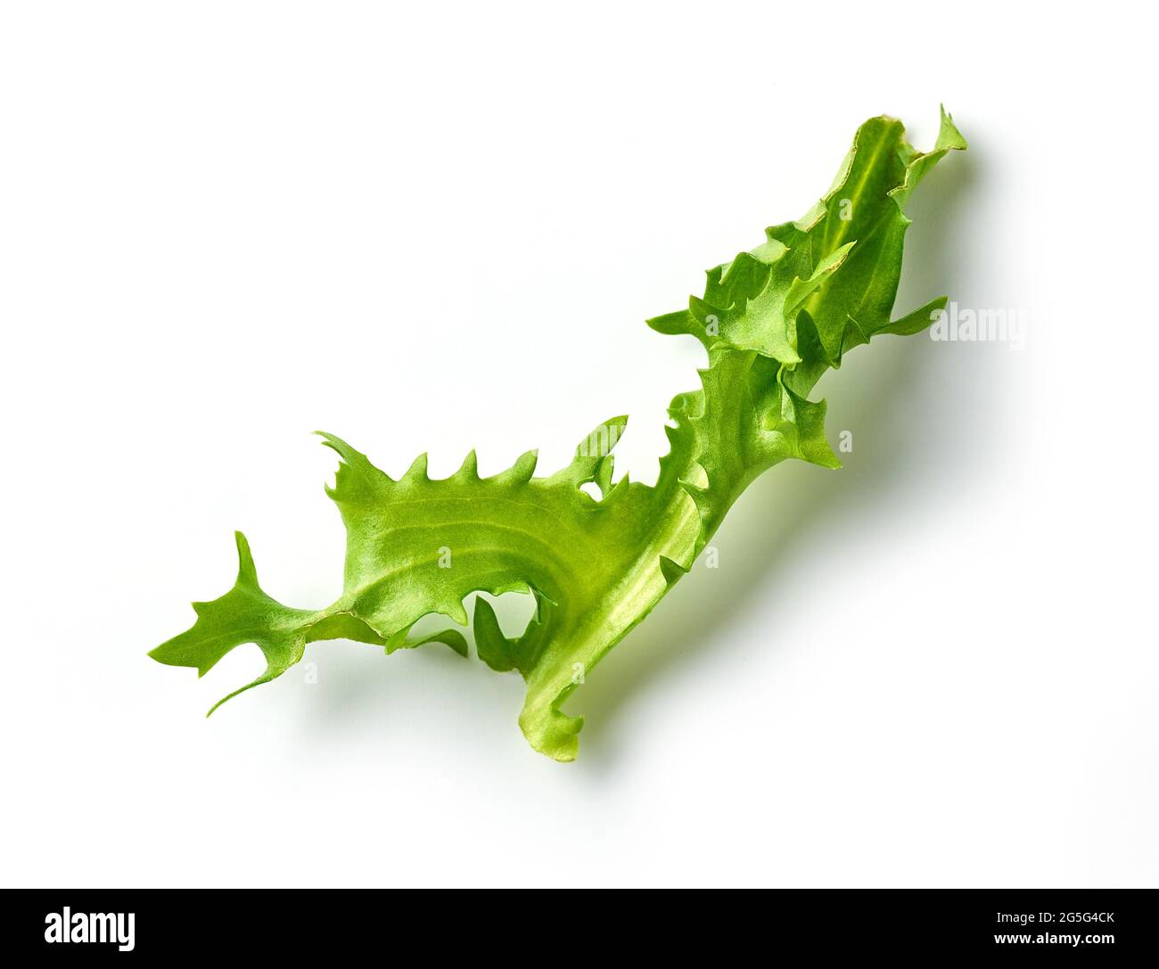 One piece of lettuce hi-res stock photography and images - Alamy