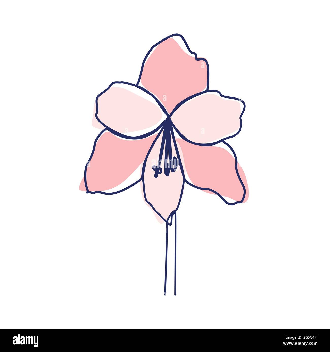 One single orchid flower Stock Vector Images - Alamy