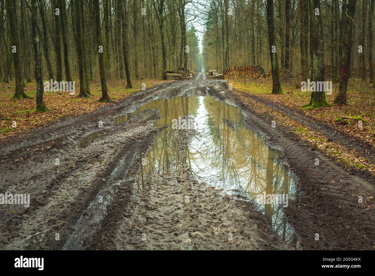 Puddle water on road hi-res stock photography and images - Alamy