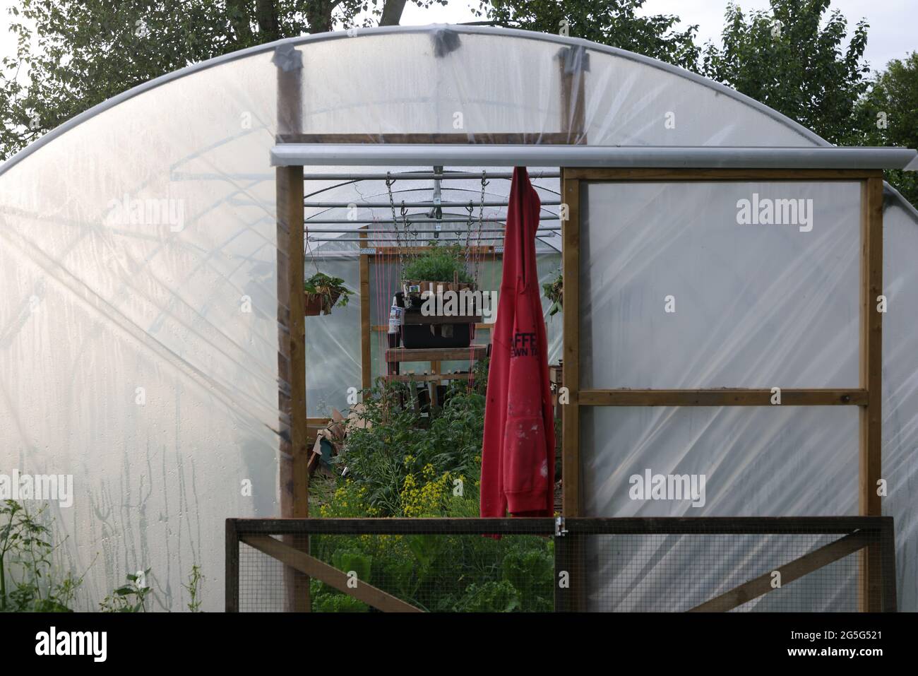 Polytunnel outside hi-res stock photography and images - Alamy