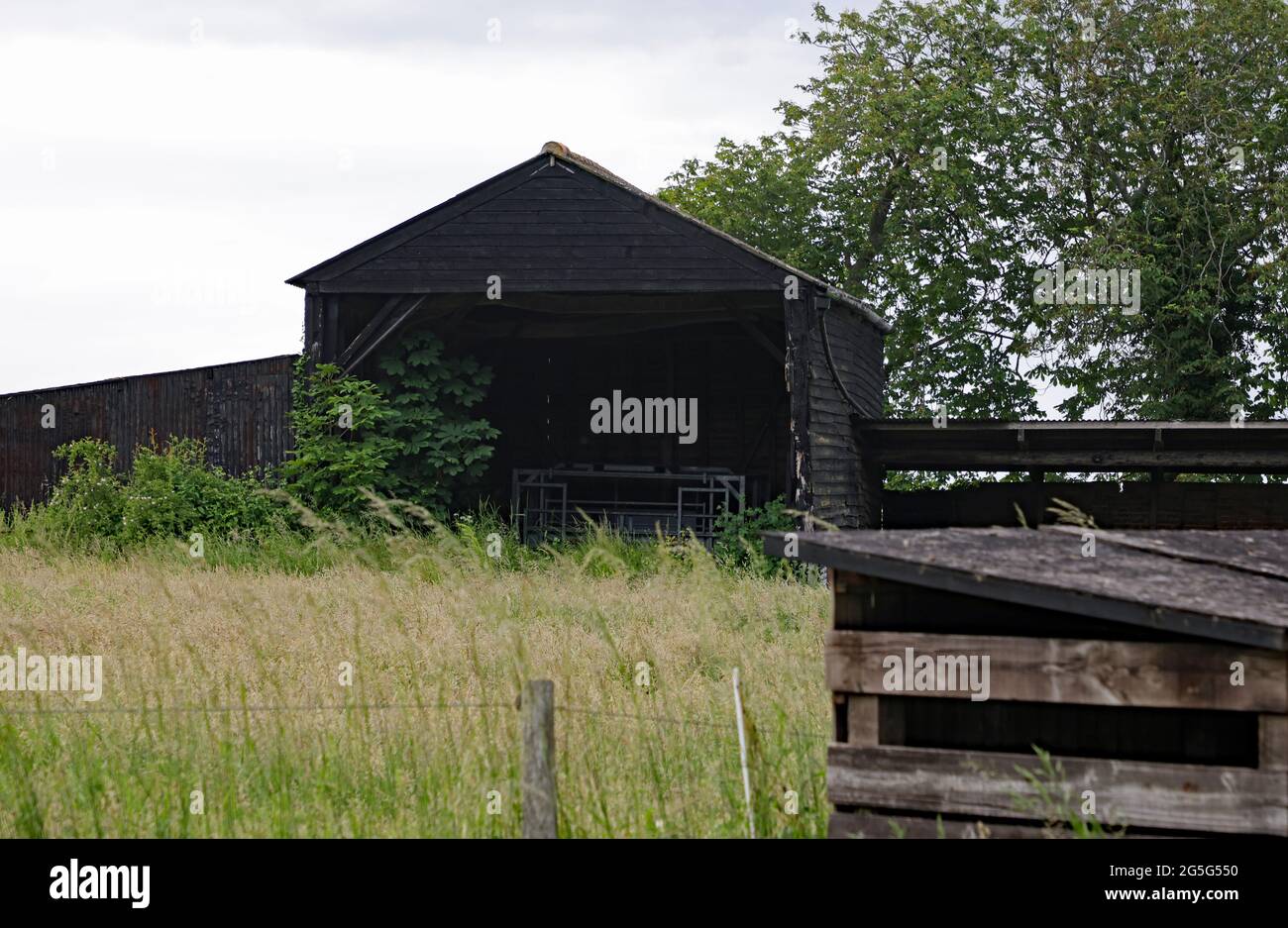Barn seen in an English countryside Stock Photo - Alamy