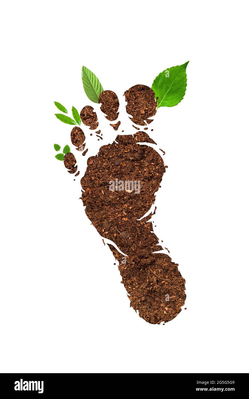 soil footprint and fresh green leaves Stock Photo - Alamy