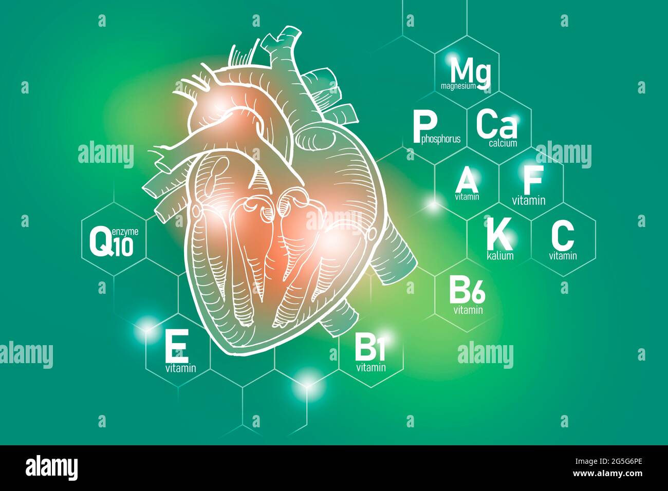 Essential nutrients for heart health including Q10, Calcium, Magnesium ...