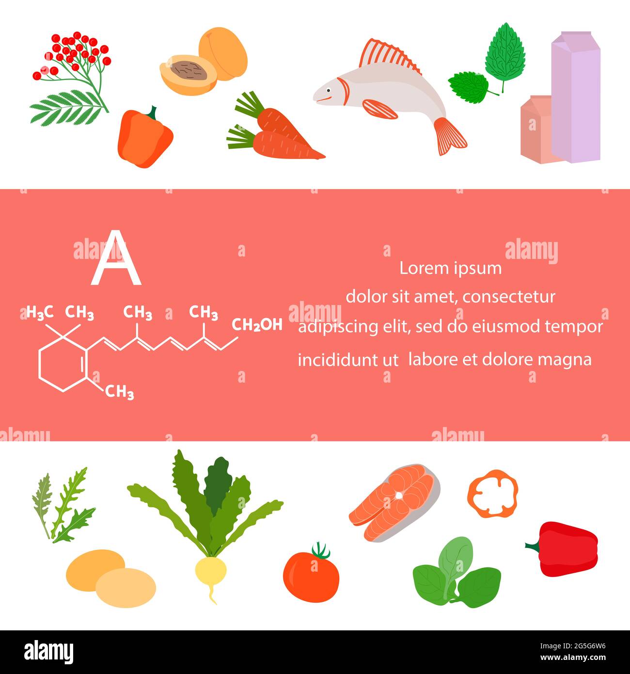 Vector illustration Vitamin A sources. Healthy food containing carotene ...