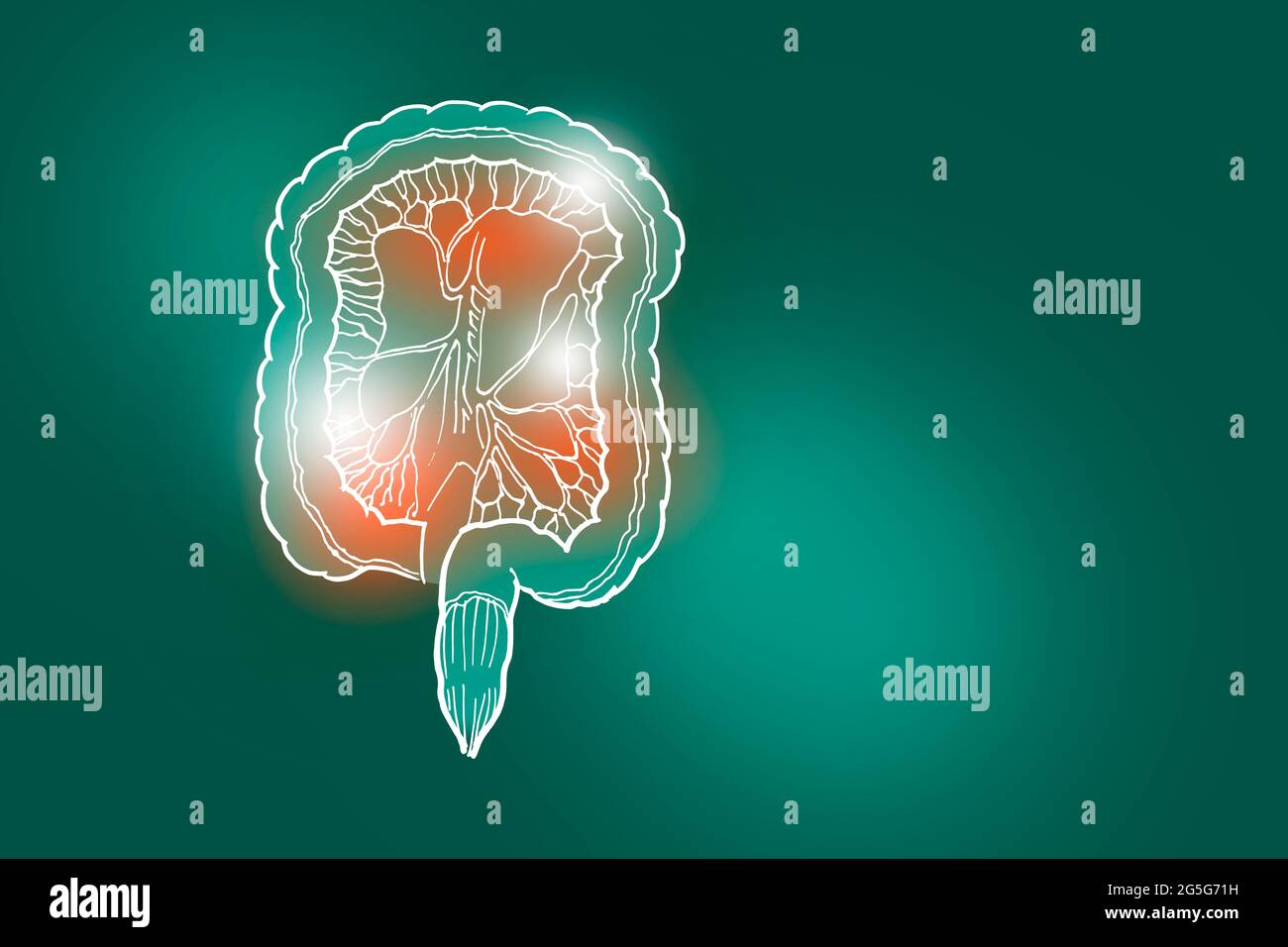 Handrawn illustration of human Intestine on deep green background ...